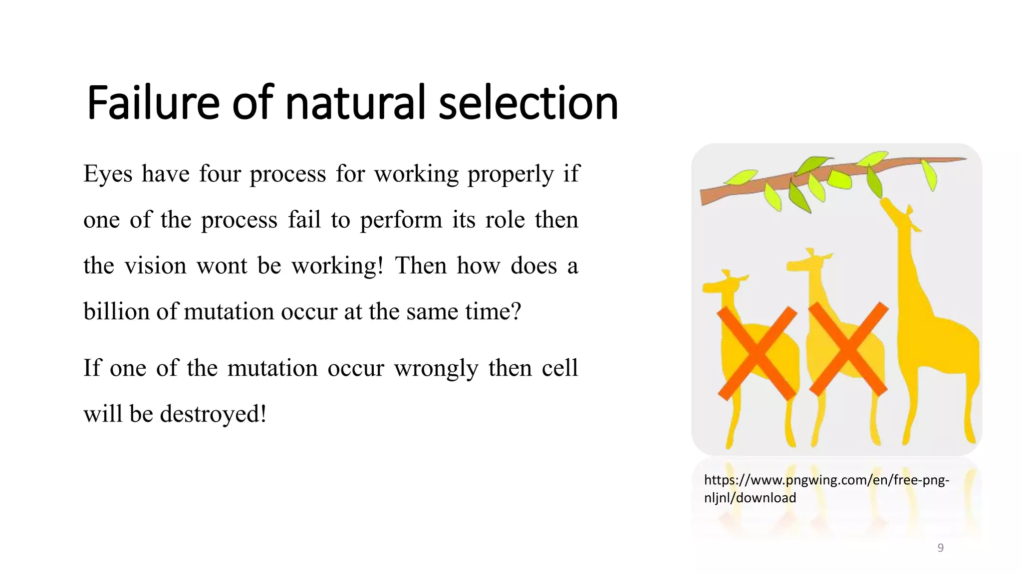 Charles Darwins Theory | PPTX