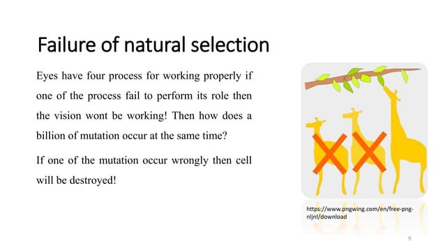 Charles Darwins Theory | PPTX