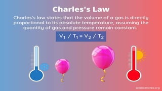 charles' LAW.pptx