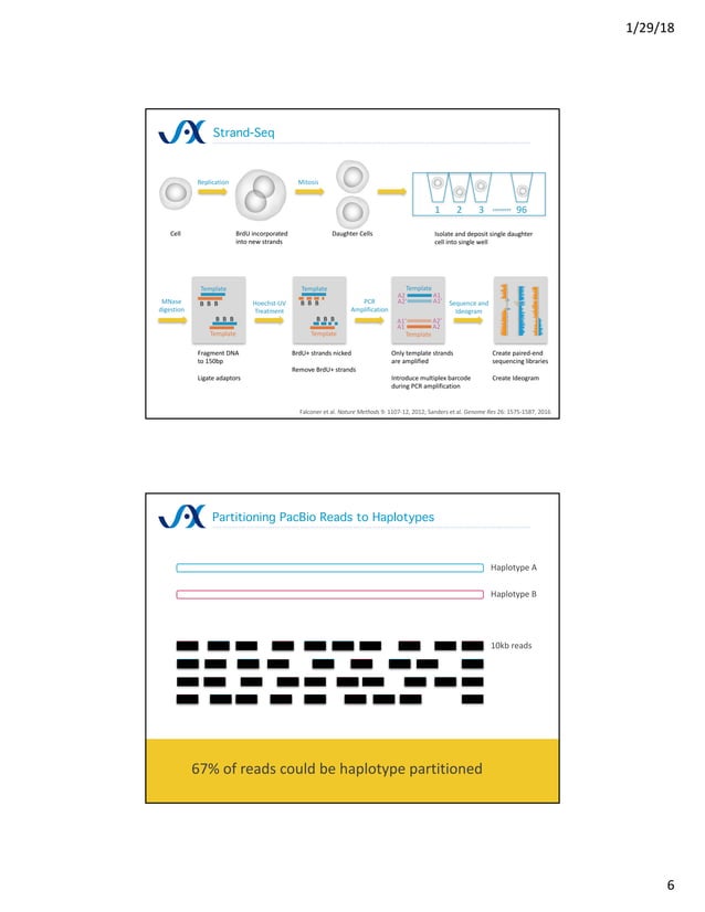 Charles lee human genome structural variant consortium update | PDF