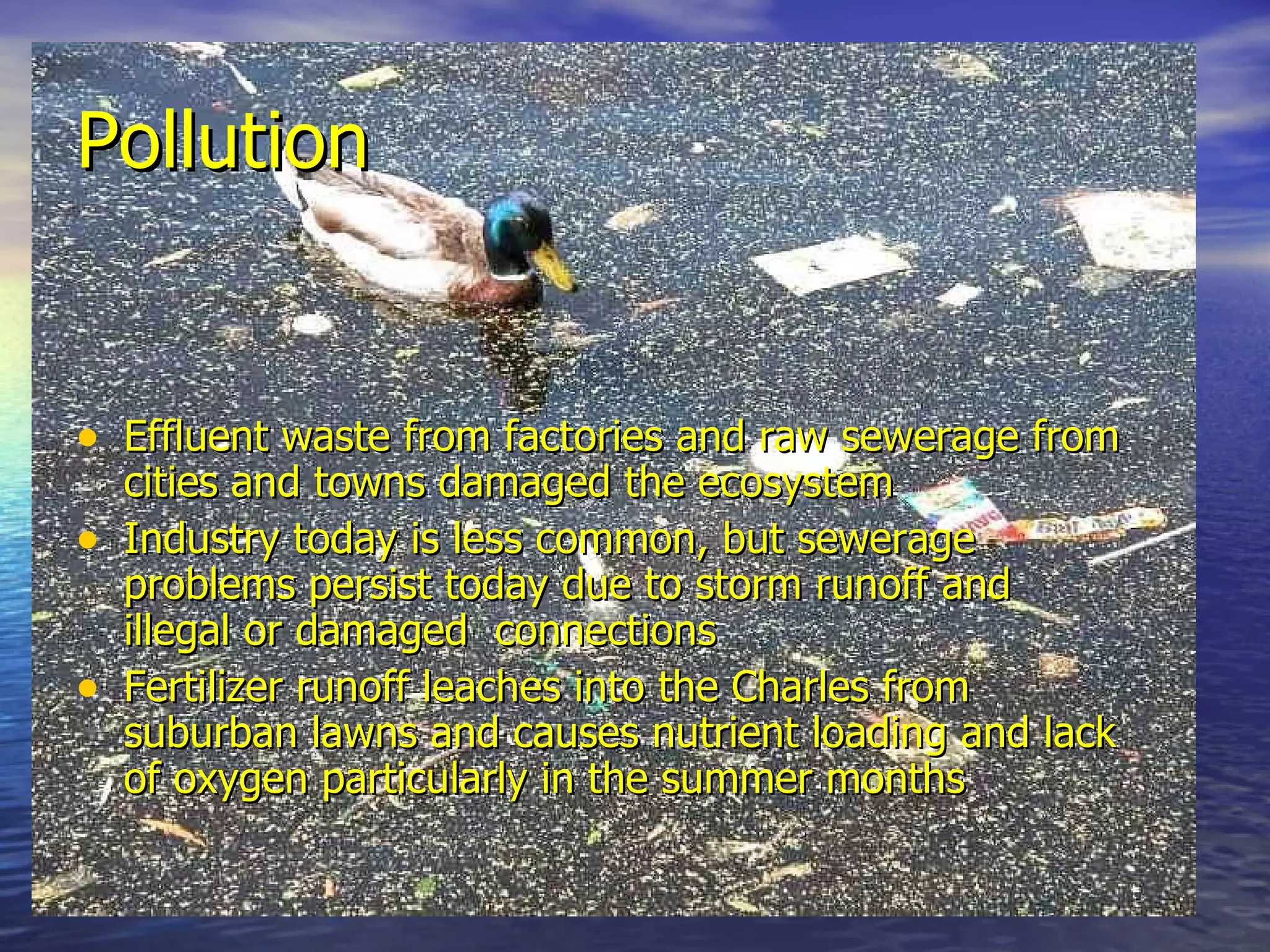 Charles River Ecosystem | PPT