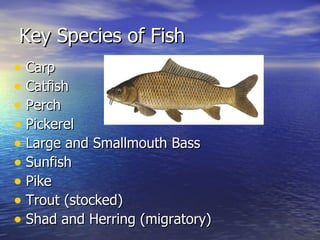 Charles River Ecosystem | PPT