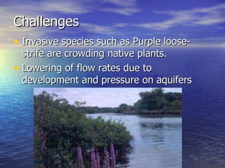 Charles River Ecosystem | PPT