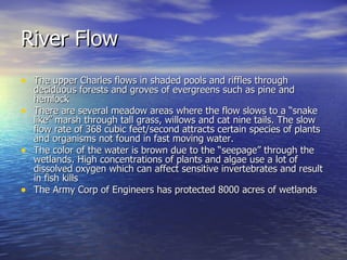 Charles River Ecosystem | PPT