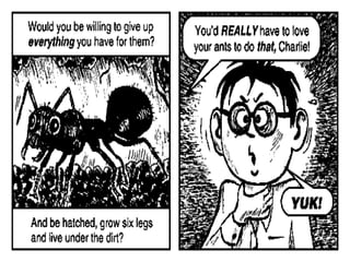 Charlie's Ants | PPS