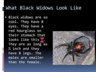 Charlie's powerpoint | PPT