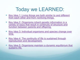 Characteristics of Life | PPTX | Biological Sciences | Science