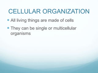 Characteristics of Life | PPTX | Biological Sciences | Science