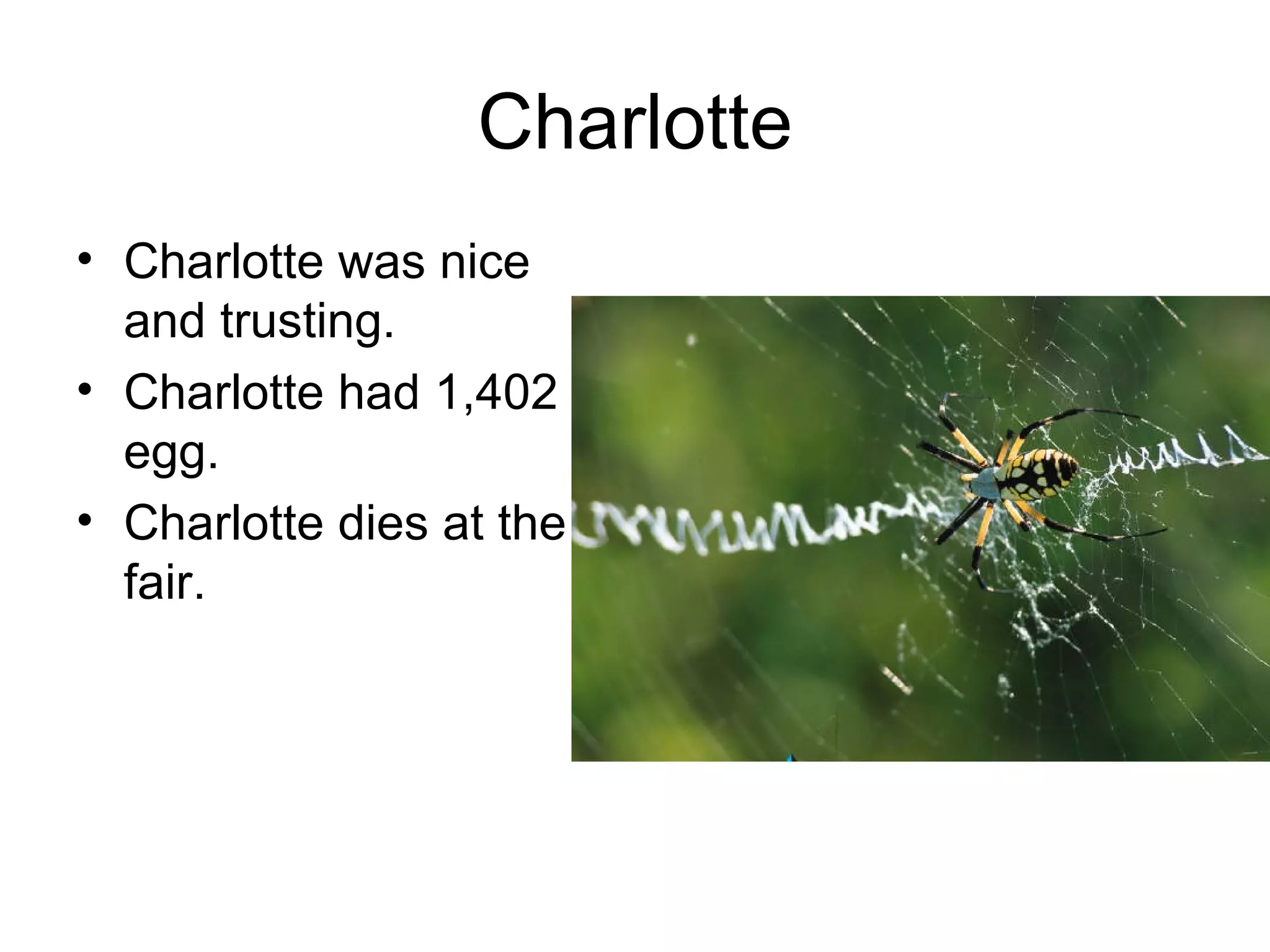 Charlotte's Web Poimt of View Power Point | PPT