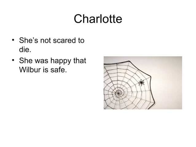 Charlotte's Web Point of View Power Point | PPT