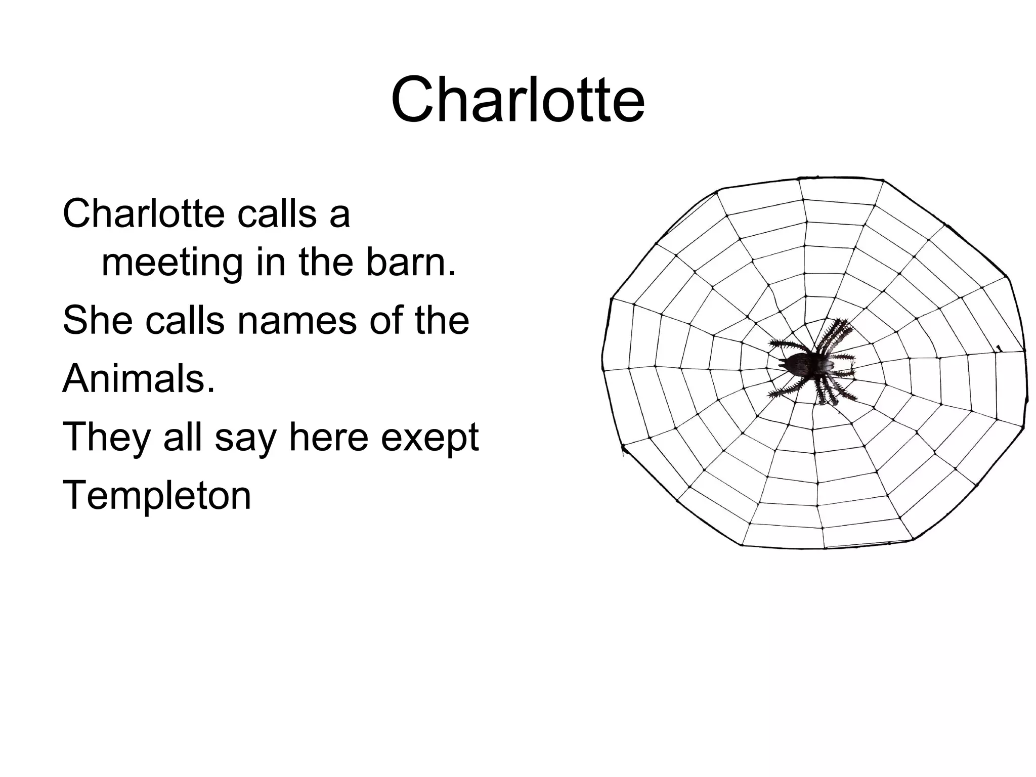 Charlotte's Web Point of View Power Point | PPT