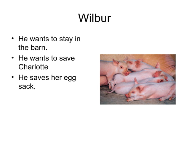 Charlotte's Web Point of View Power Point | PPT