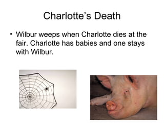 Charlotte's Web Project | PPT