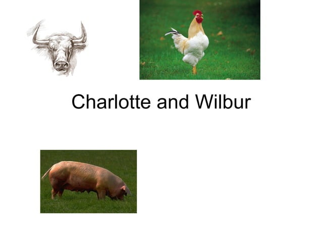 Charlotte's Web Project | PPT