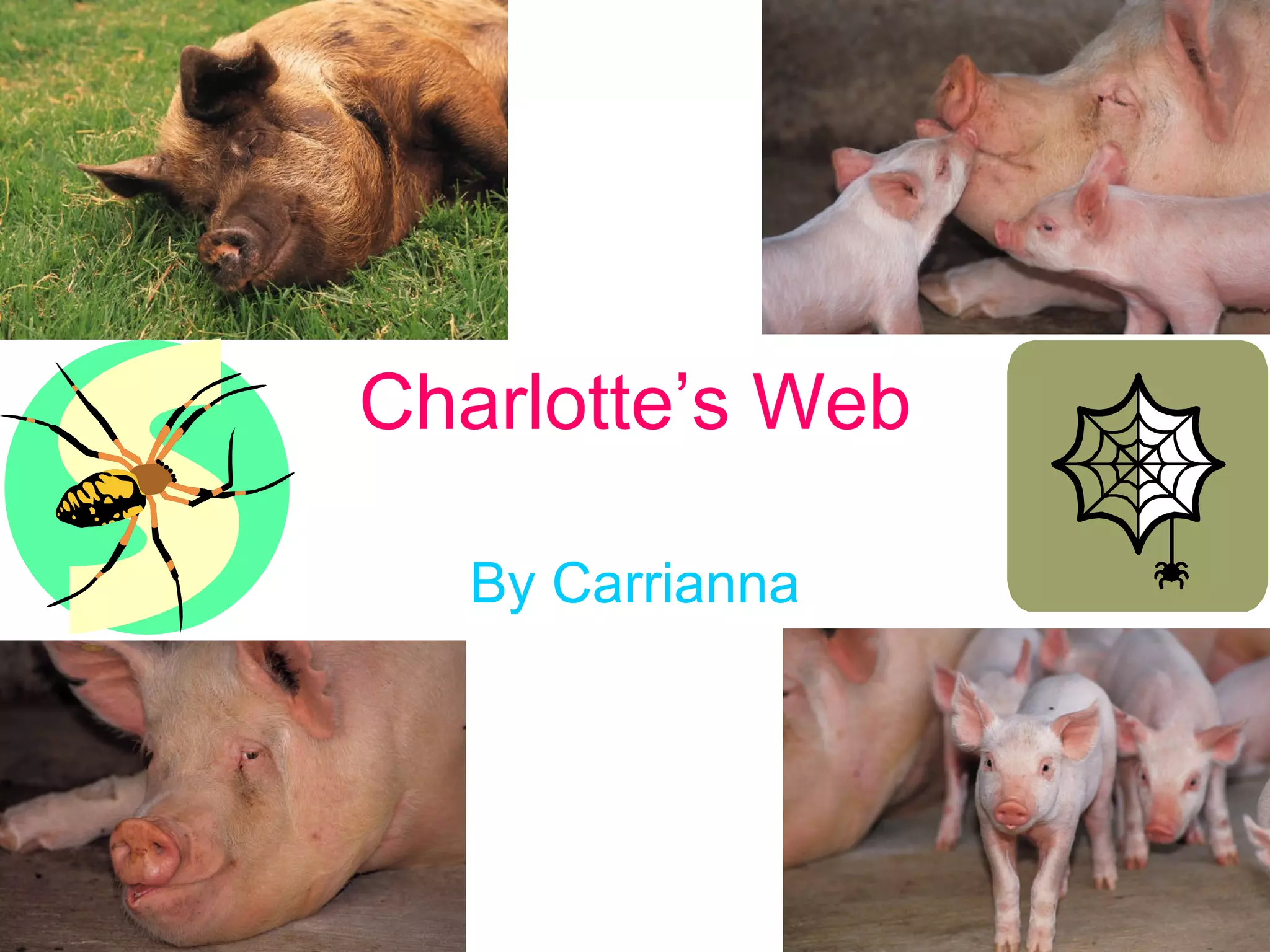 Charlotte's Web Project | PPT