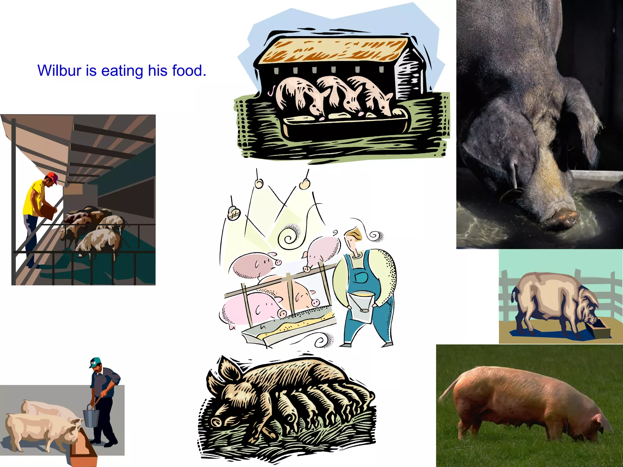Charlotte's Web Project | PPT