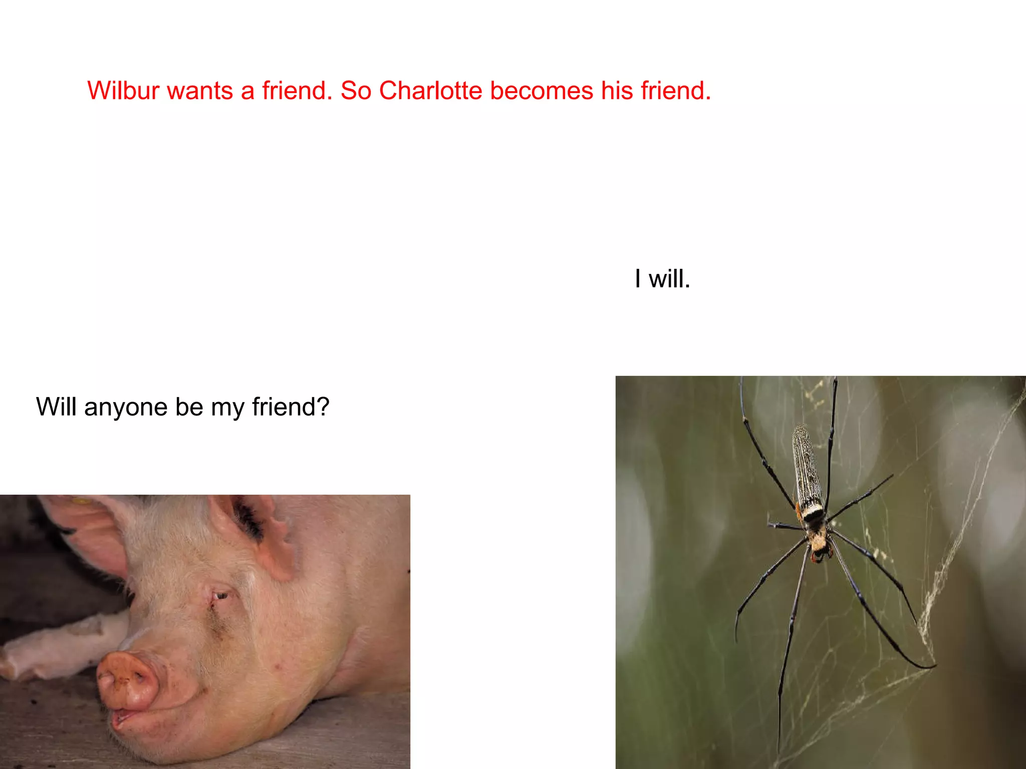 Charlotte's Web Project | PPT