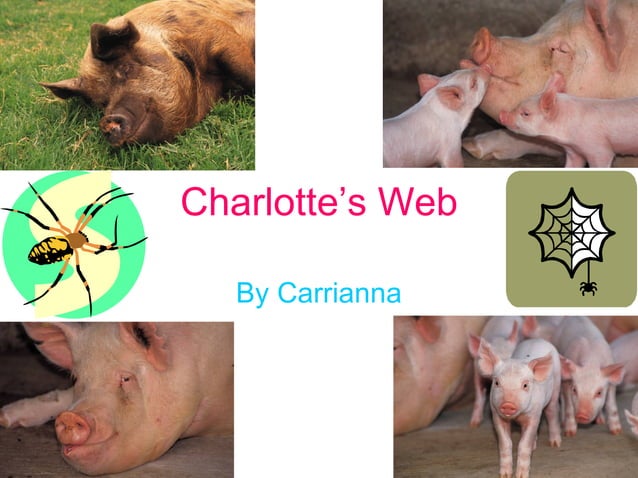 Charlotte's Web Project | PPT