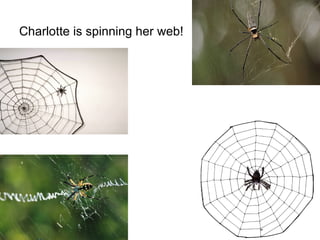 Charlotte's Web Project | PPT