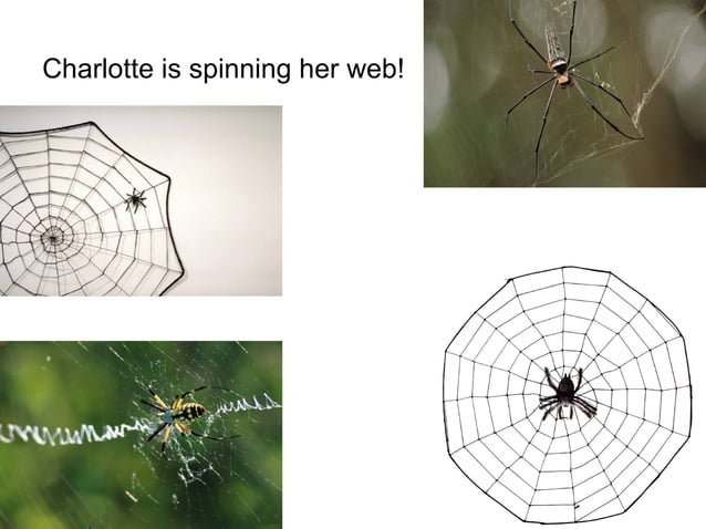 Charlotte's Web Project | PPT
