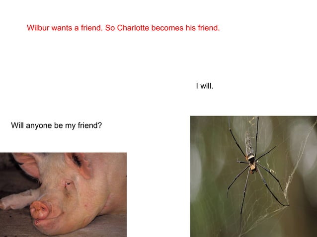 Charlotte's Web Project | PPT