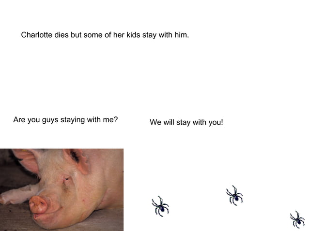 Charlotte's Web Project | PPT