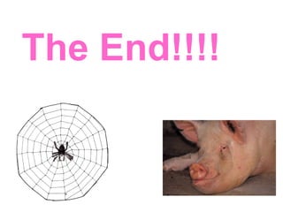 Charlotte's Web Project | PPT