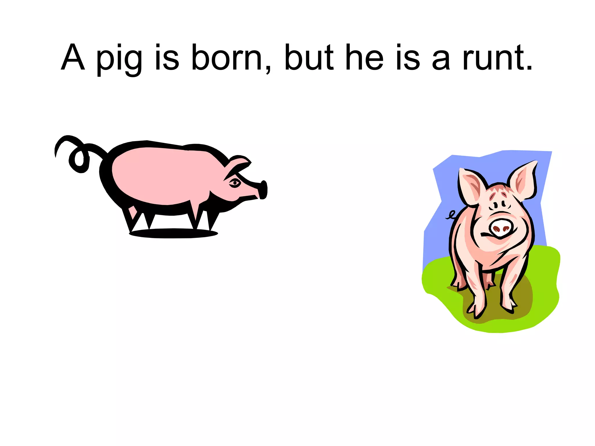 Charlotte's Web Project | PPT