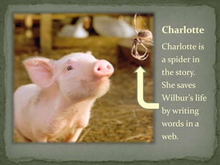Charlottes Web ashleyknotts | PPT