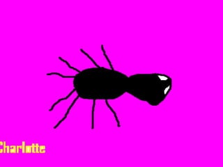 Charlottes Web Characters | PPTX