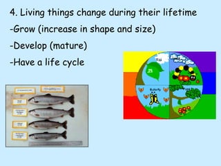 Char of living things | PPTX