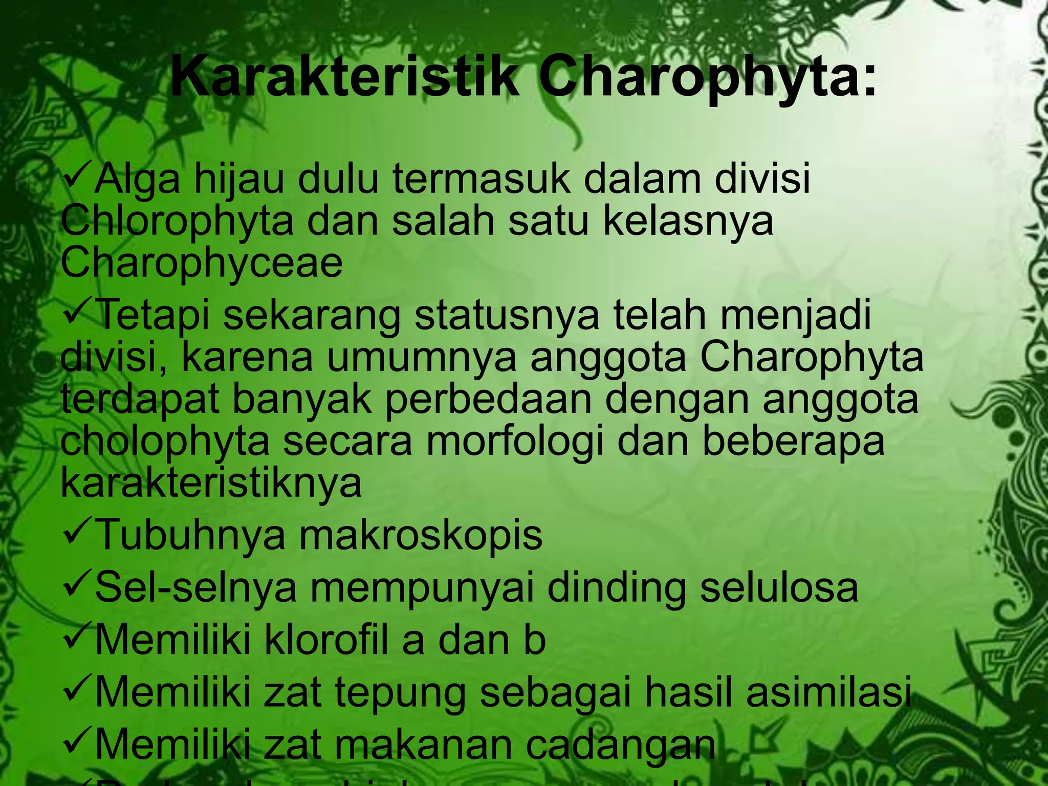 Charophyta | PPTX