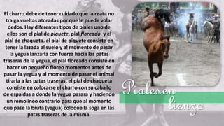 Charreria y sus suertes | PPTX