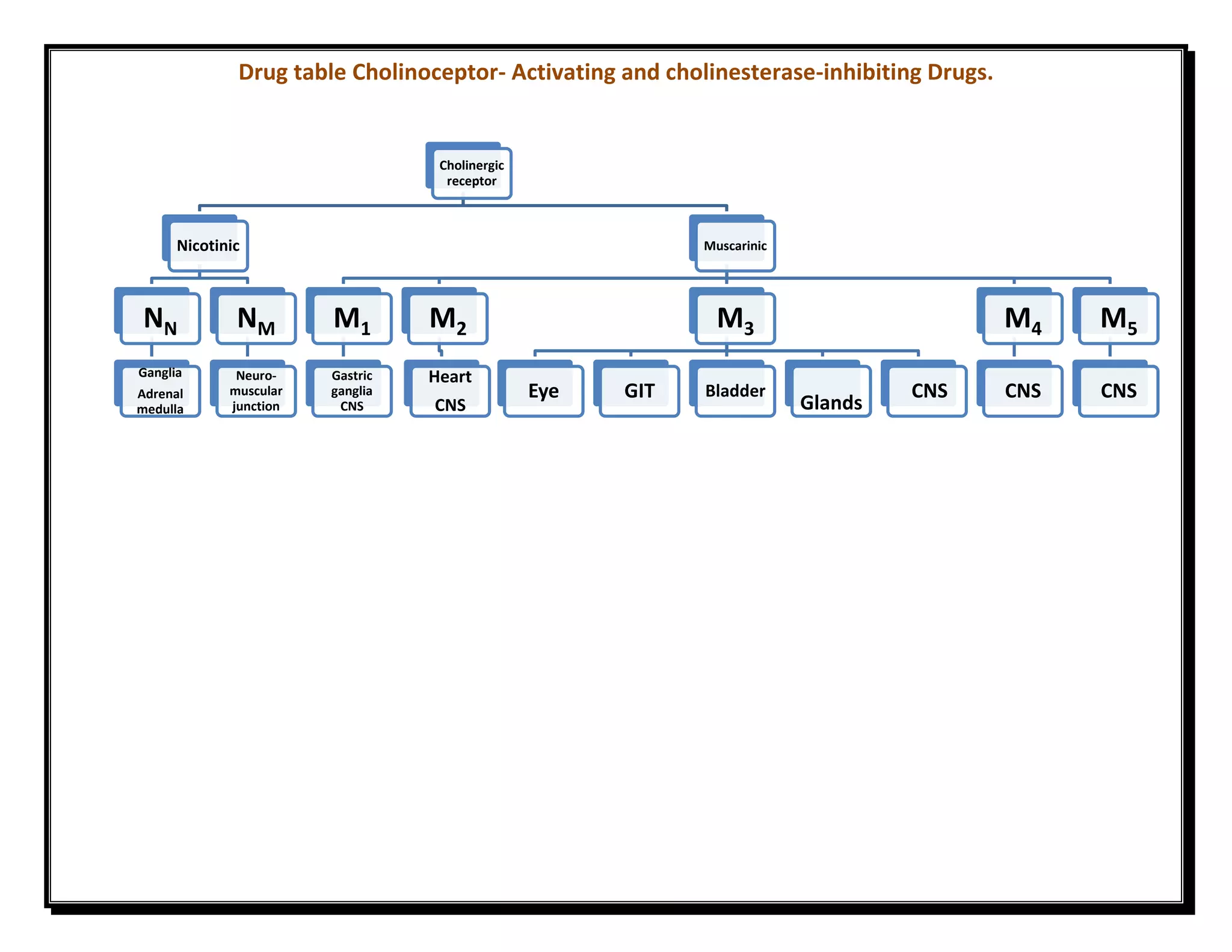 Chart cholinergic | PPT