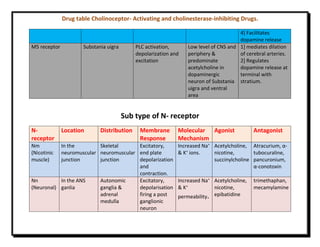 Chart cholinergic | PPT
