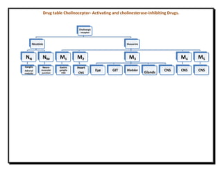 Chart cholinergic | PPT