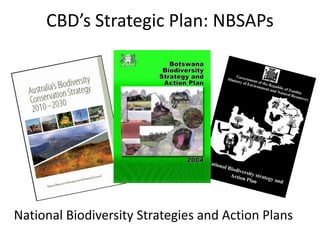 Charting pathways for biodiversity and sustainable development | PPT