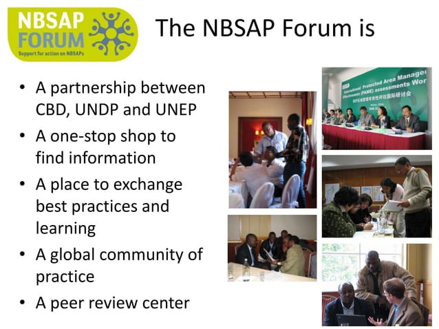 Charting pathways for biodiversity and sustainable development | PPT