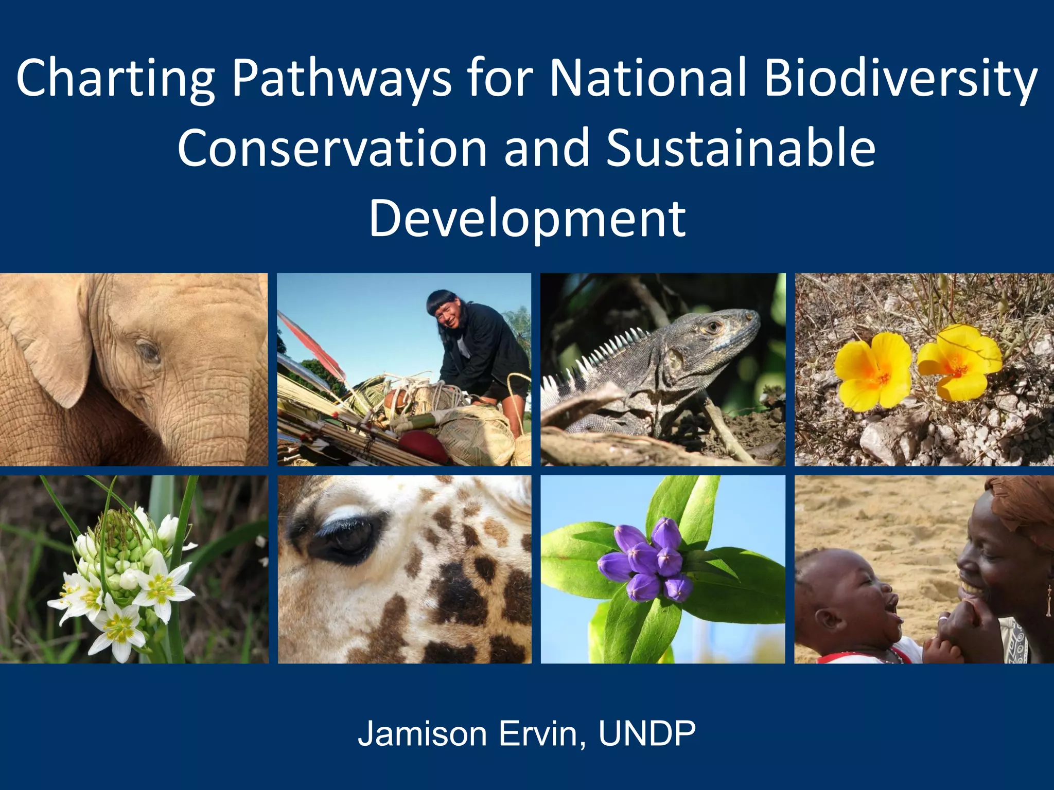 Charting pathways for_biodiversity_and_sustainable_development_final | PPT | Free Download
