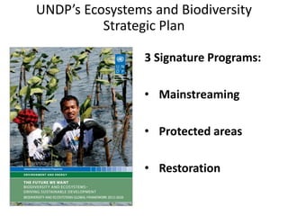 Charting pathways for_biodiversity_and_sustainable_development_final | PPT