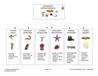 Chart invertebrates | PDF