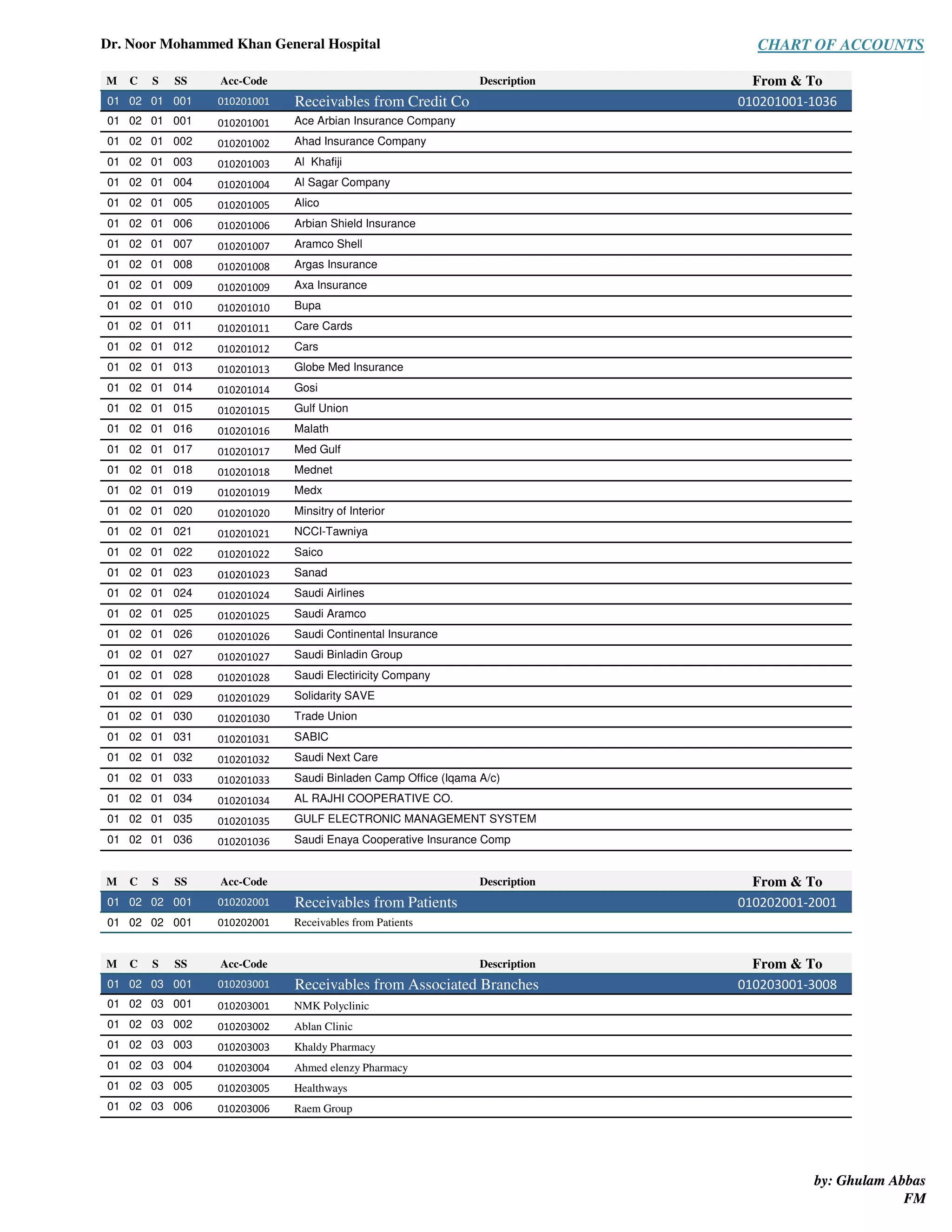 Hospital Chart of accounts, Healthcare Chart of Accounts | PDF