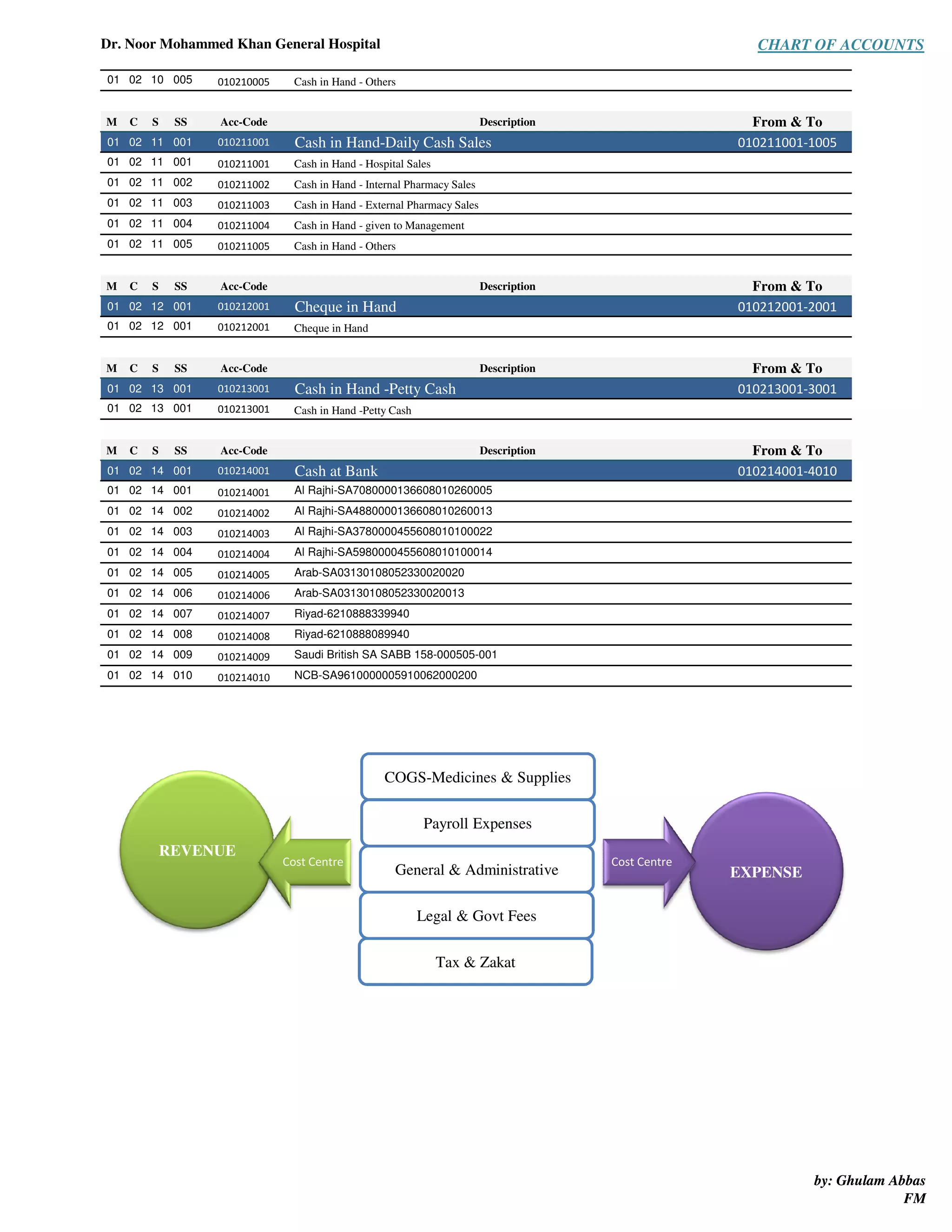 Hospital Chart of accounts, Healthcare Chart of Accounts | PDF