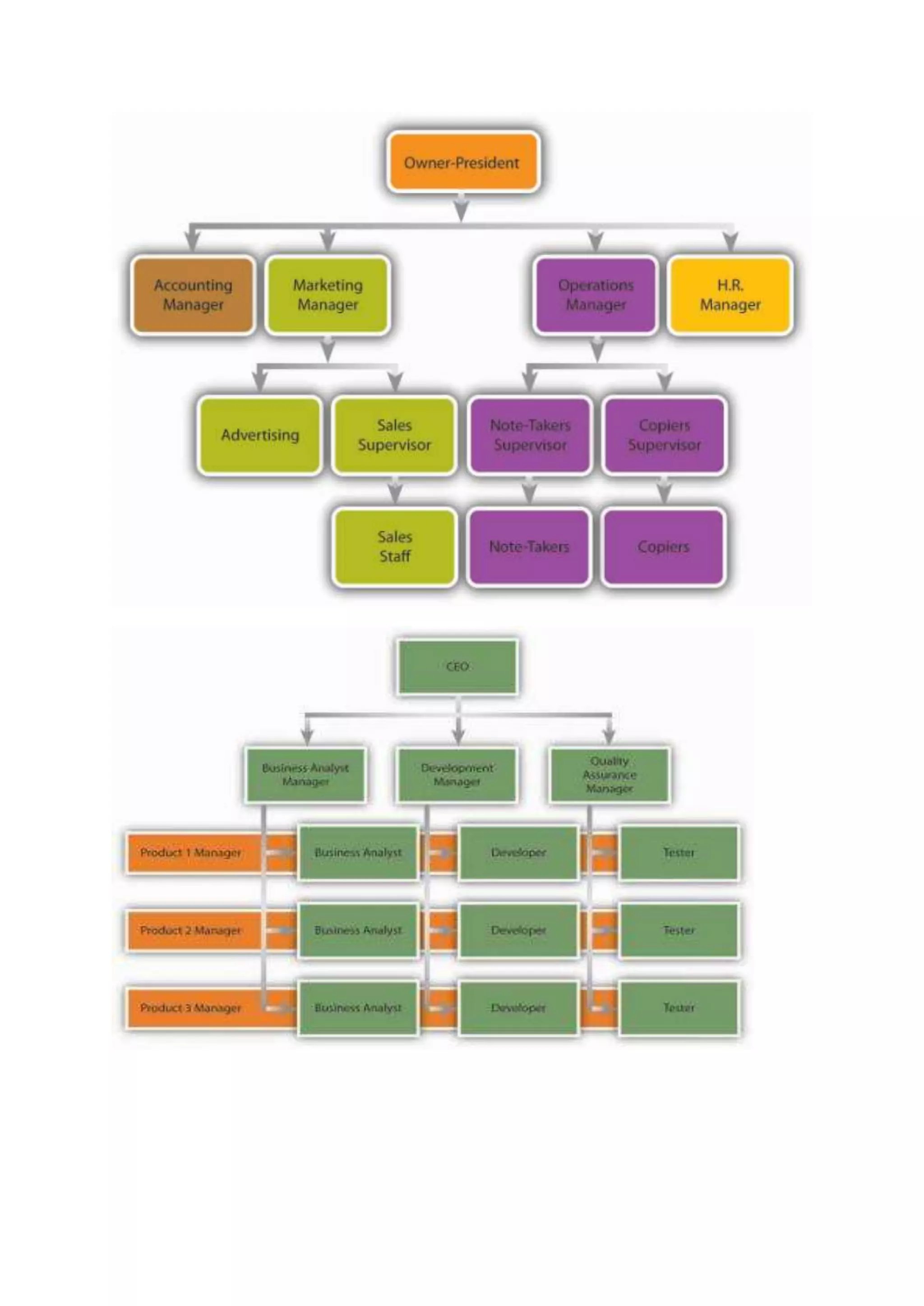Chart organizational acc | DOCX
