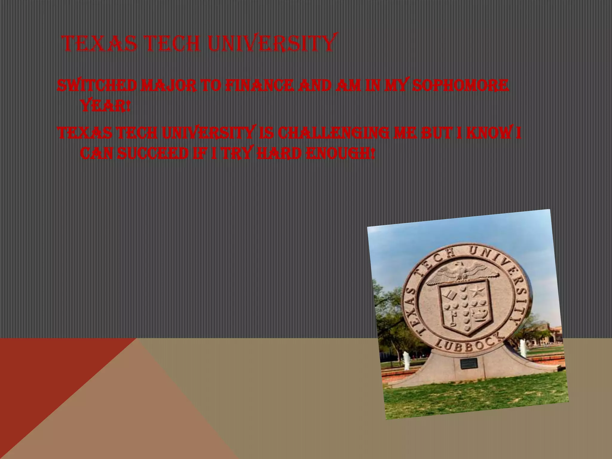 Charuk nick visual resume | PPT