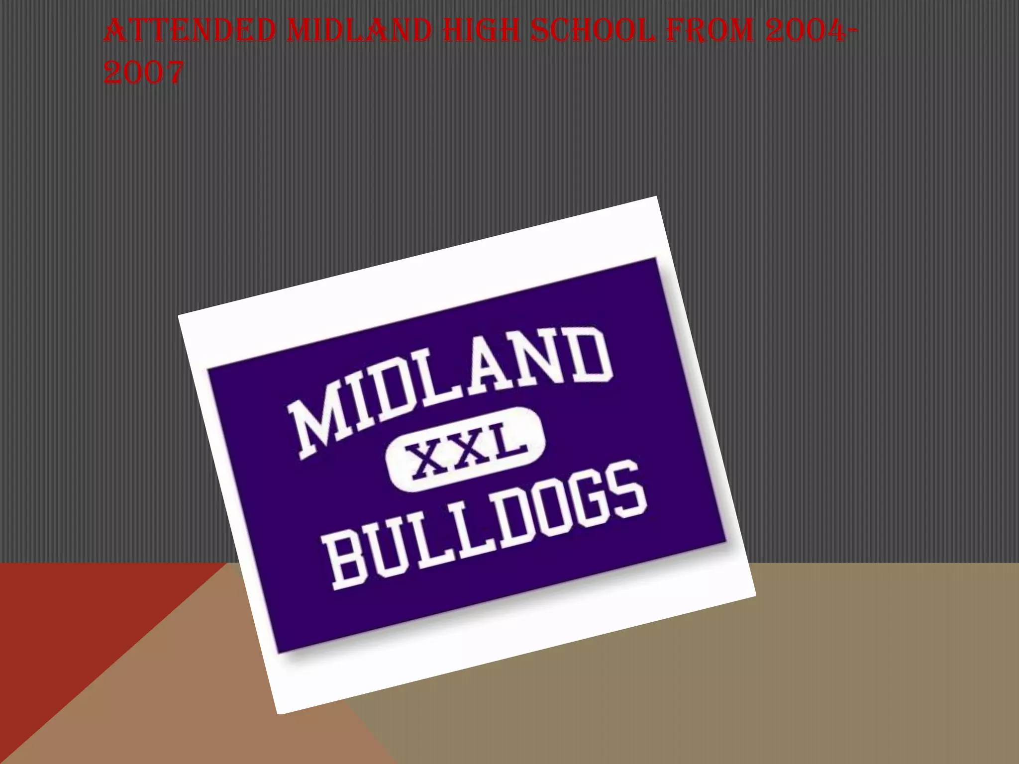 Charuk nick visual resume | PPT