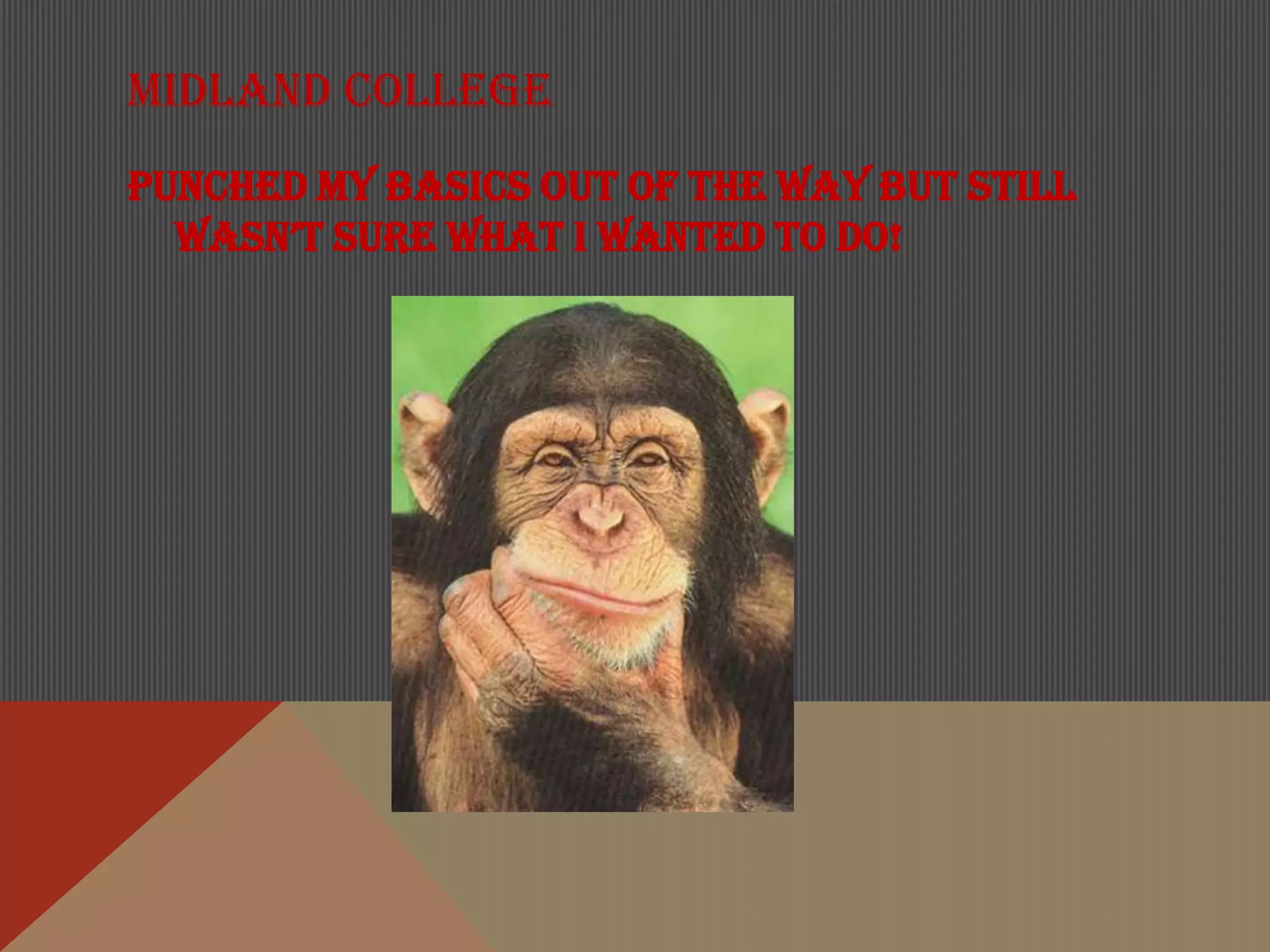 Charuk nick visual resume | PPT