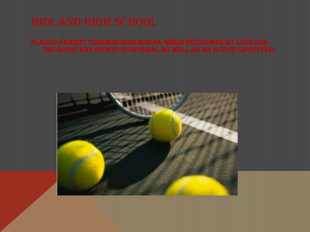 Charuk nick visual resume | PPT