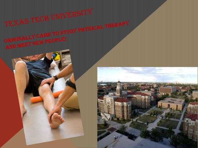 Charuk nick visual resume | PPT