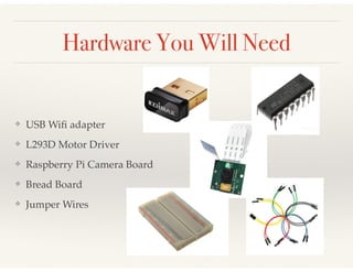 Raspberry Pi - Cat Chaser | PPT